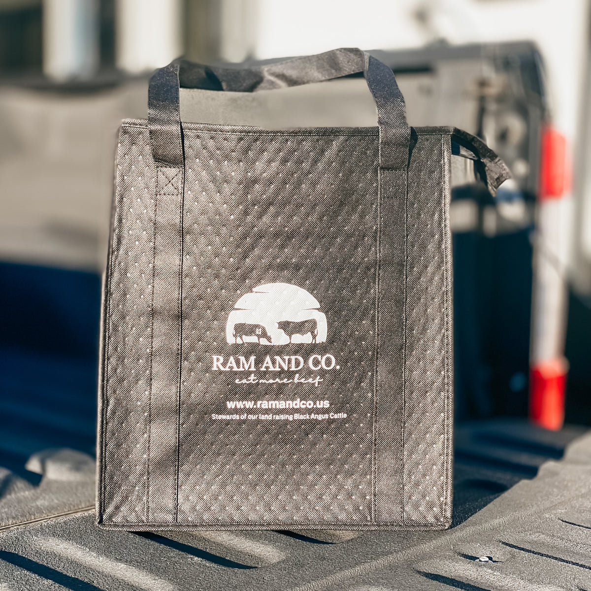 Reusable RAM and Co. Cooler Bags